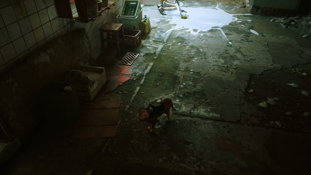 Stray Review: Purr, leap and meow on a beautiful journey in a cyberpunk ...