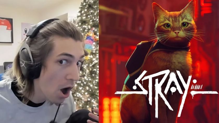 xQc shocks fans with an unearthly scream while playing the new cat-game ...