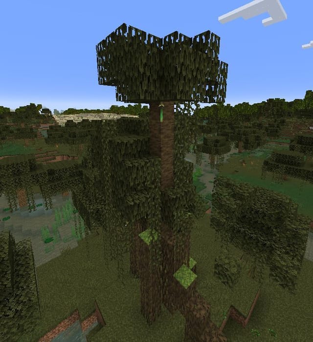 Mangrove Trees In Minecraft