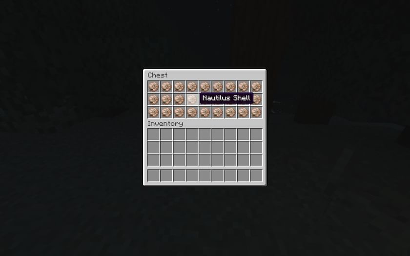 How rare are nautilus shells in Minecraft 1.19 update?
