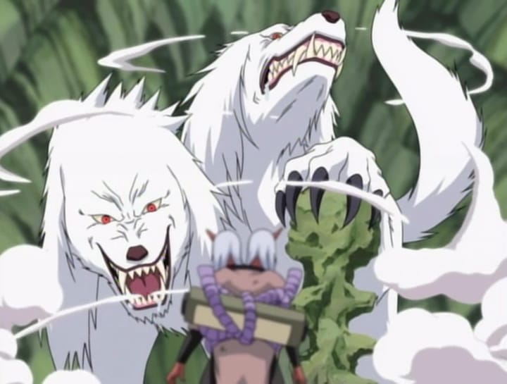 Who is Akamaru in Naruto?