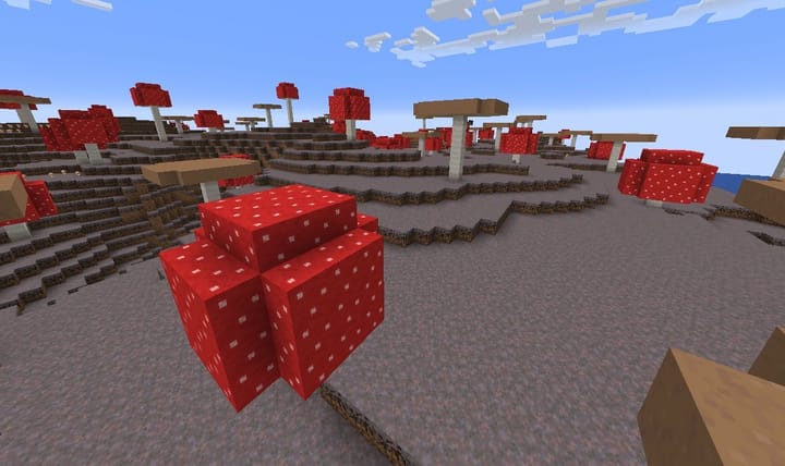 Mushroom Block in Minecraft