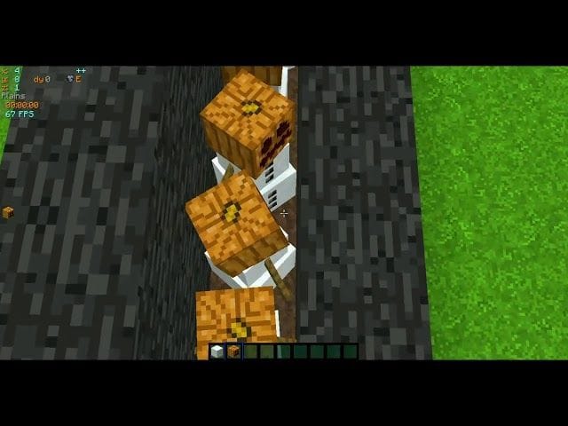 Minecraft 2022 5 of the most impressive world records