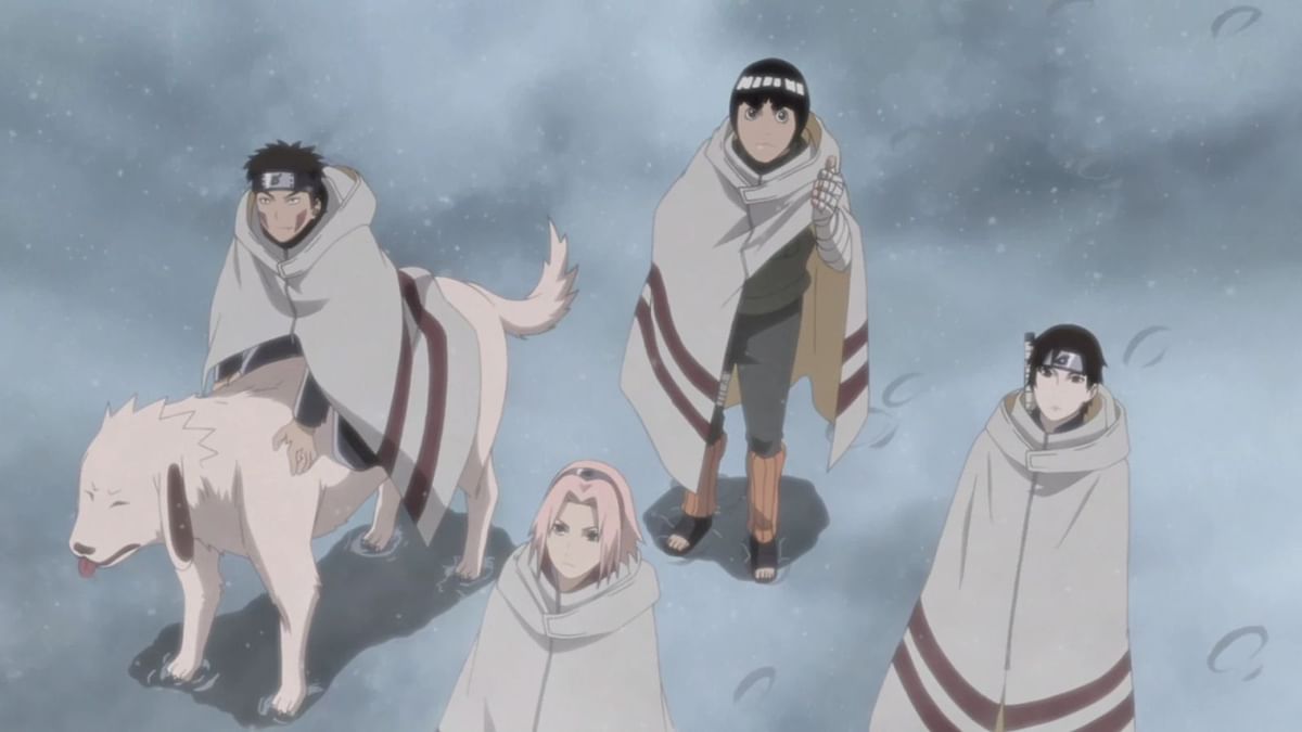 Who is Akamaru in Naruto?