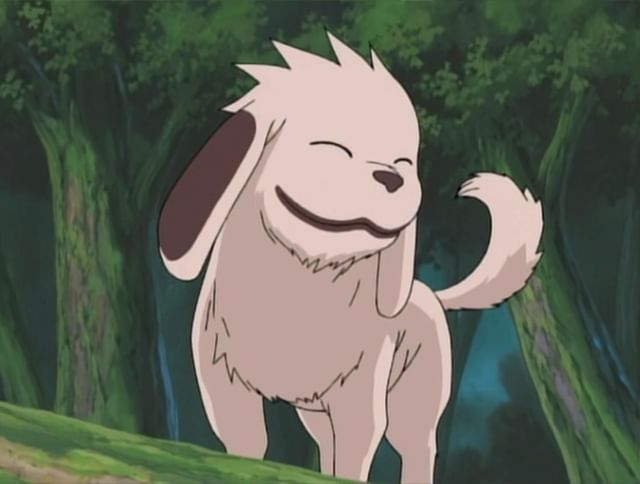 Who is Akamaru in Naruto?