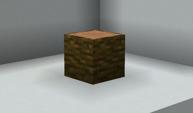 Jungle Log Blocks in Minecraft