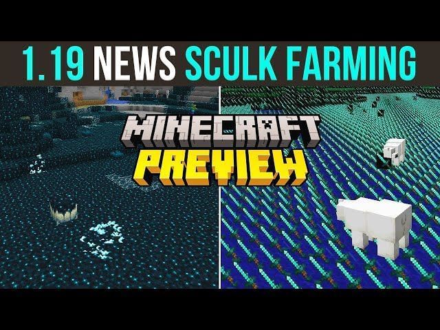 Minecraft Beta vs Preview: What's the difference?