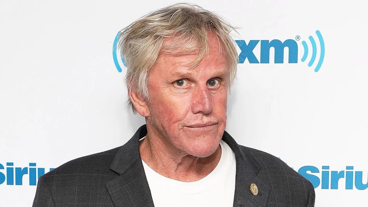 "Nothing happened"- Gary Busey denies allegations of harassment amid ...