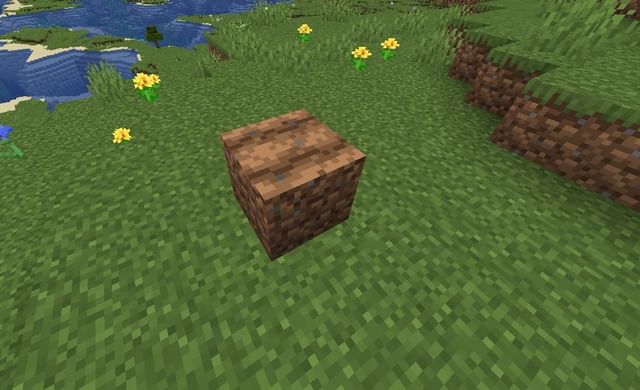 Farmland in Minecraft