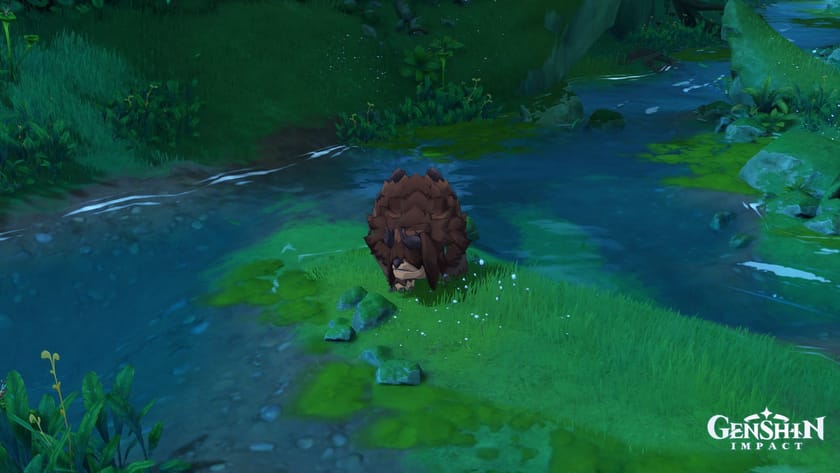 Take pictures of Shaggy sumpter beasts in Genshin Impact: Locations and ...