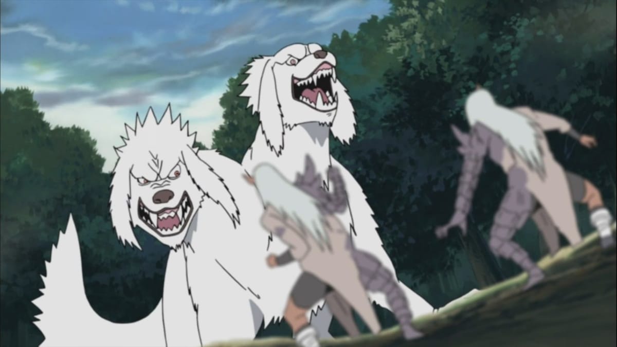 Who is Kiba Inuzuka in Naruto?