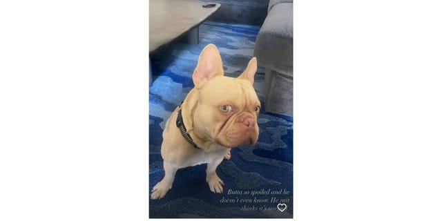 Naomi Osaka reveals new shoes inspired by dog Butta and manga series Naruto