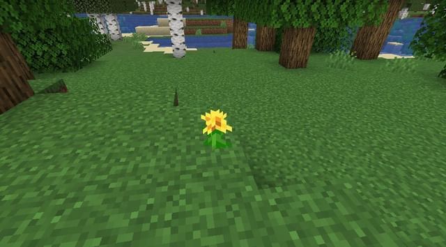 Dandelion in Minecraft