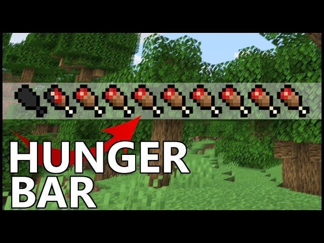Minecraft's health and hunger bars explained