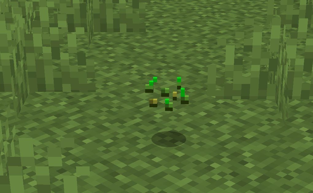 Grass Block in Minecraft