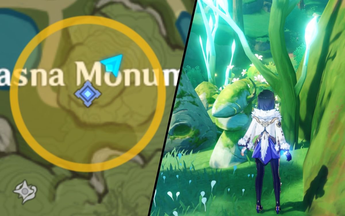 Find the branch together with Aranakula: Genshin Impact Sumeru quest guide