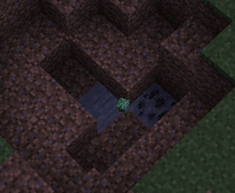creeper-head-in-minecraft