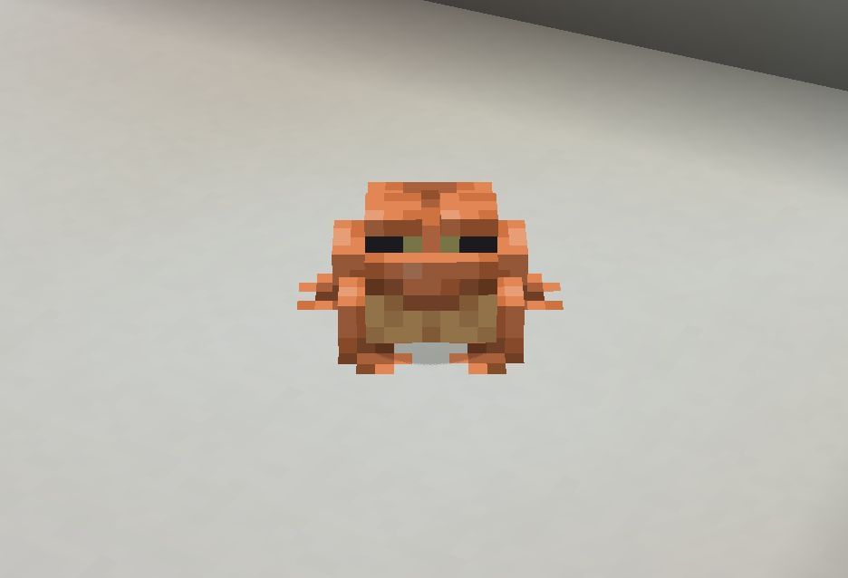 What are Ochre Froglight‌ in Minecraft?