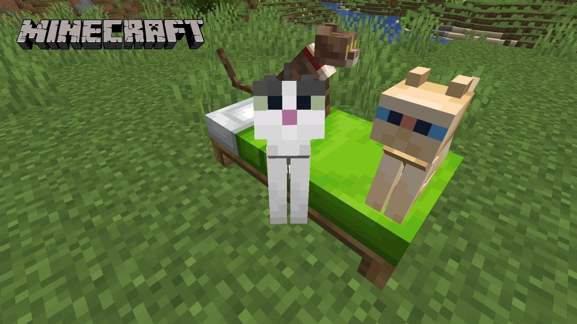 How to get different cat breeds in Minecraft