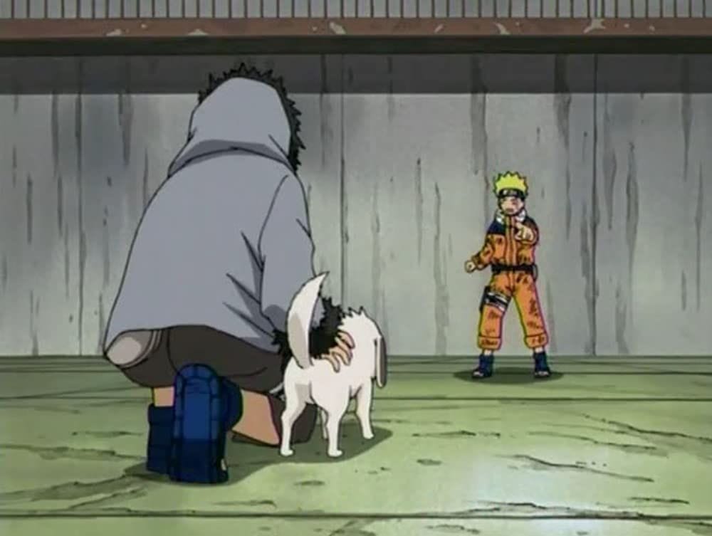 Who is Akamaru in Naruto?