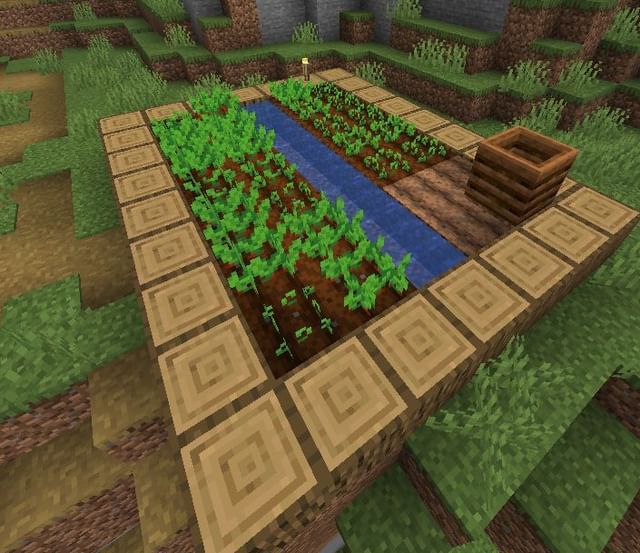 Farmland in Minecraft