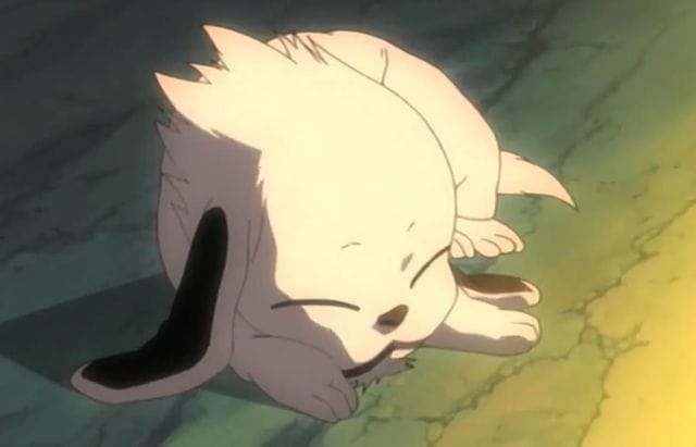 Who is Akamaru in Naruto?