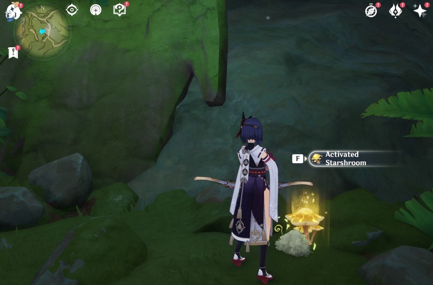 How to get Vibrant Starshroom in Genshin Impact: Aranara task, location ...