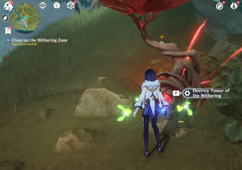 How to clean up the Withering Zone in Genshin Impact