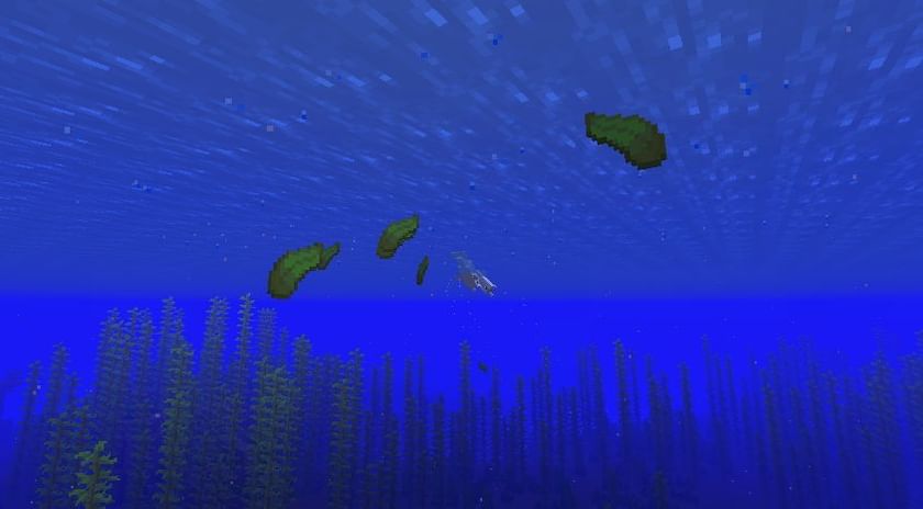 Kelp in Minecraft
