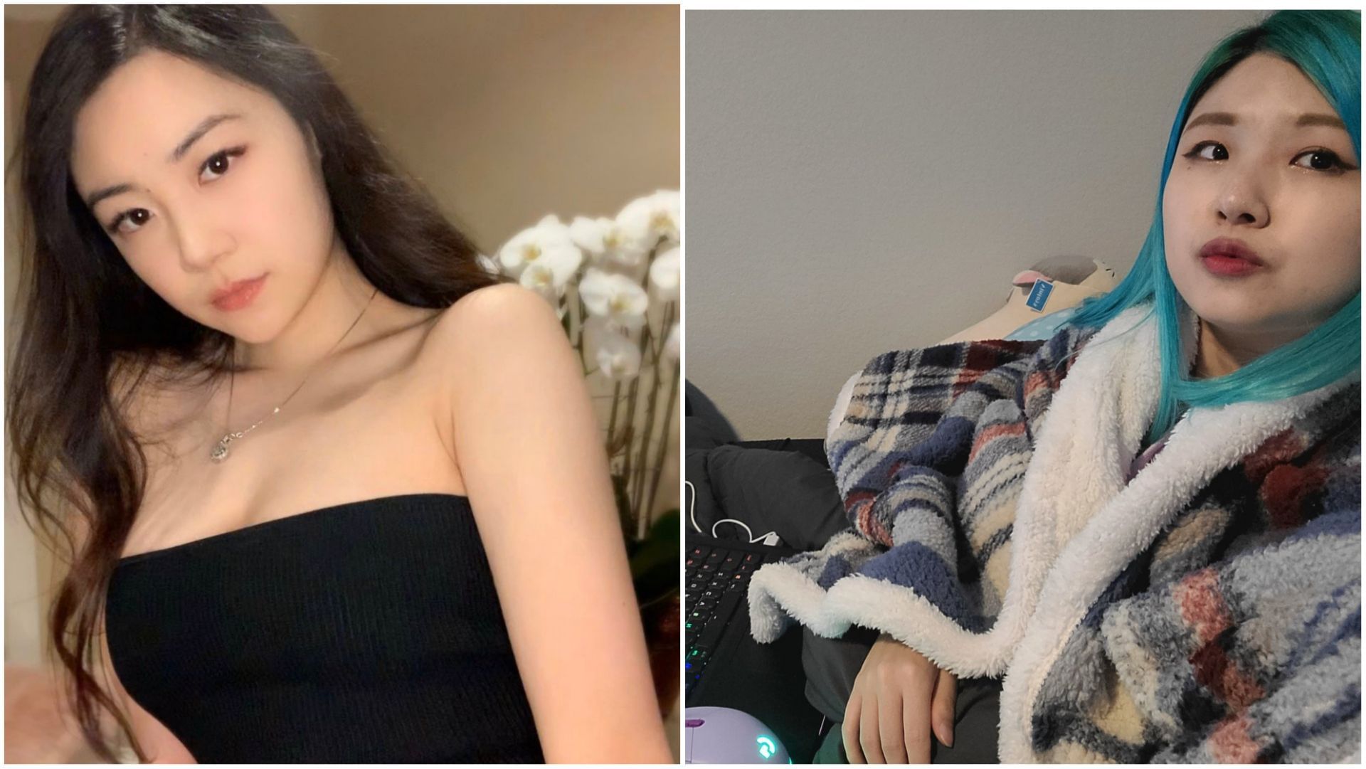 Twitch streamer fanfan roasted by HAchubby on stream