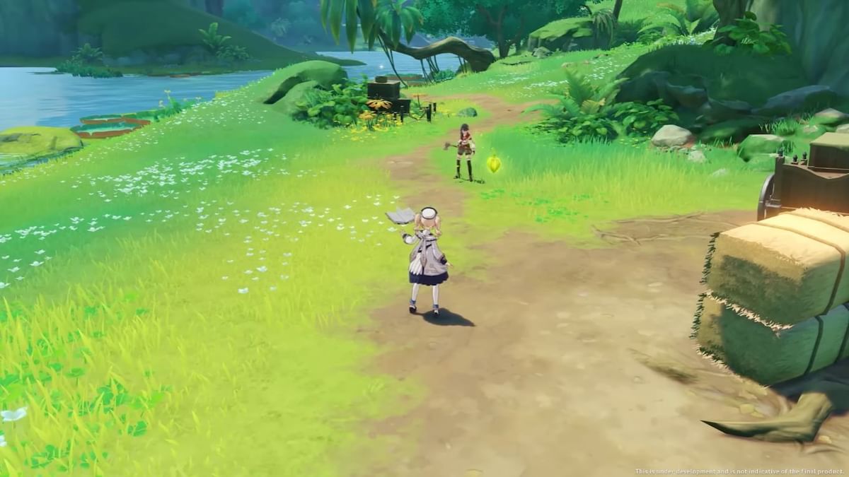 5 facts about Dendro elemental reactions in Genshin Impact