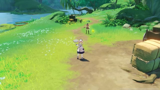 5 facts about Dendro elemental reactions in Genshin Impact