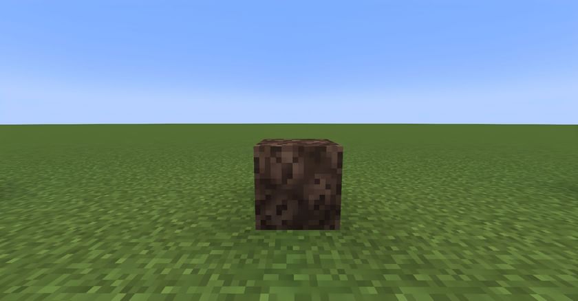 5 most unique blocks in Minecraft