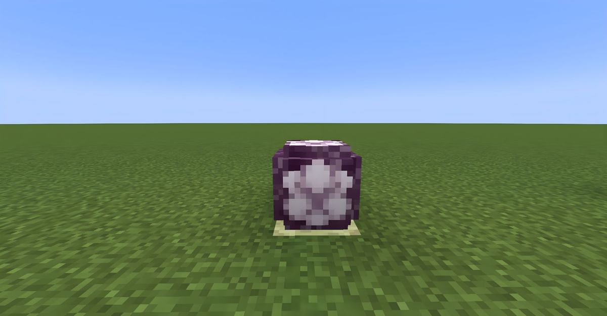 5 most unique blocks in Minecraft