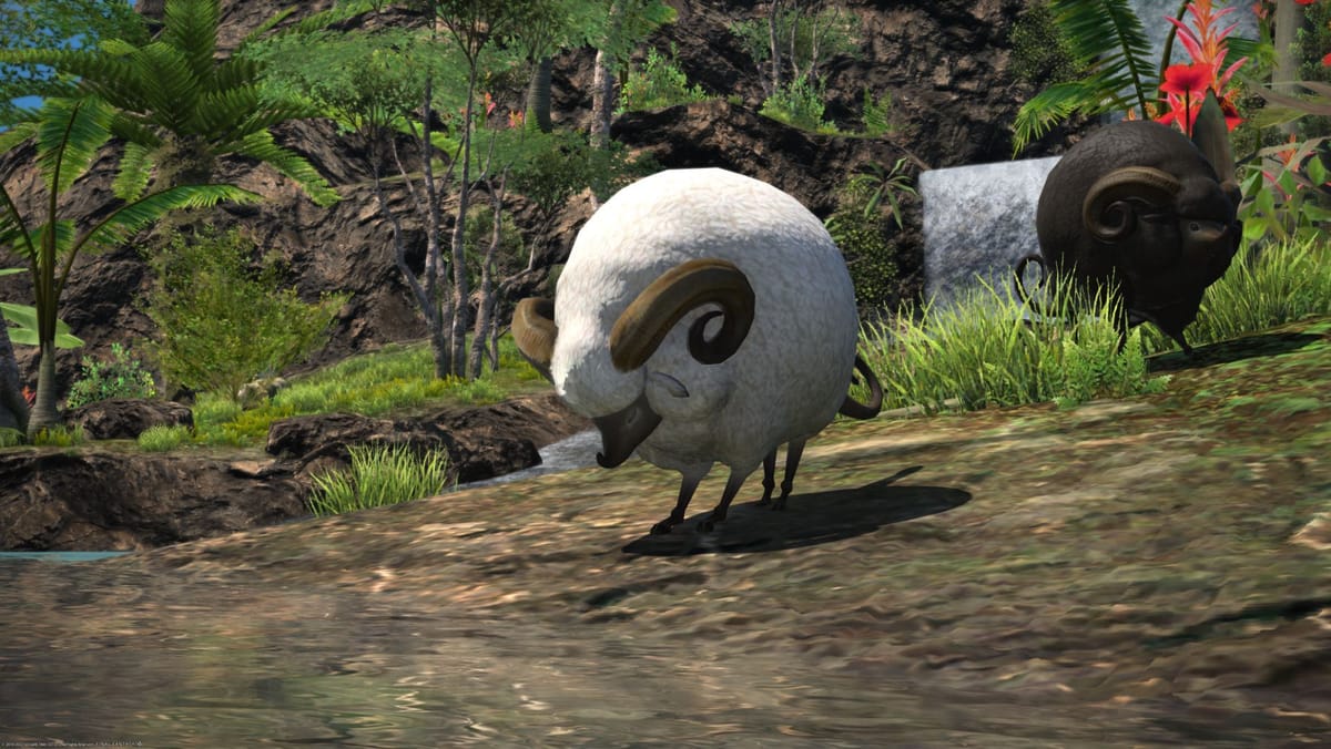 Final Fantasy XIV guide: How to access the new Island Sanctuary mode