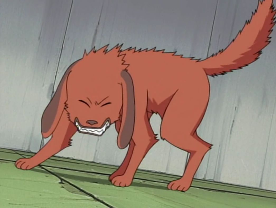 Who is Akamaru in Naruto?