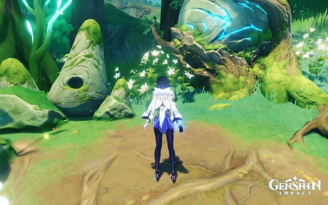 Find the branch together with Aranakula: Genshin Impact Sumeru quest guide