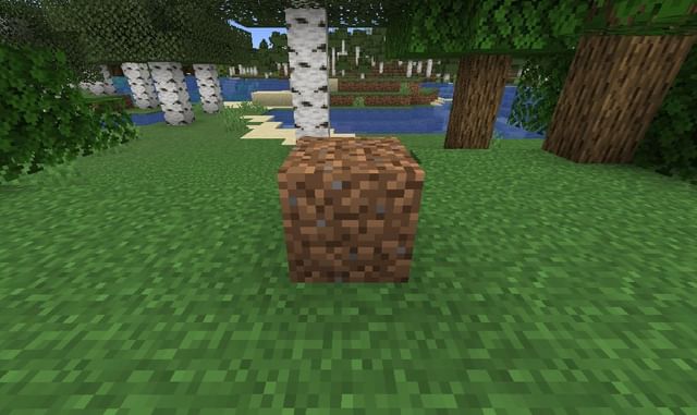 Dirt in Minecraft