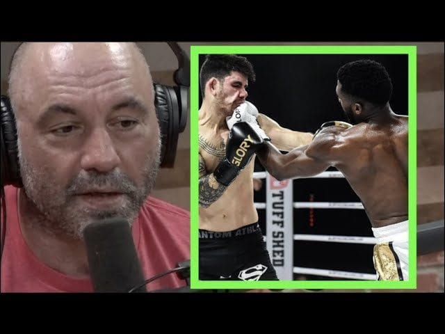 Joe Rogan fight record: What was the UFC commentator's kickboxing record?
