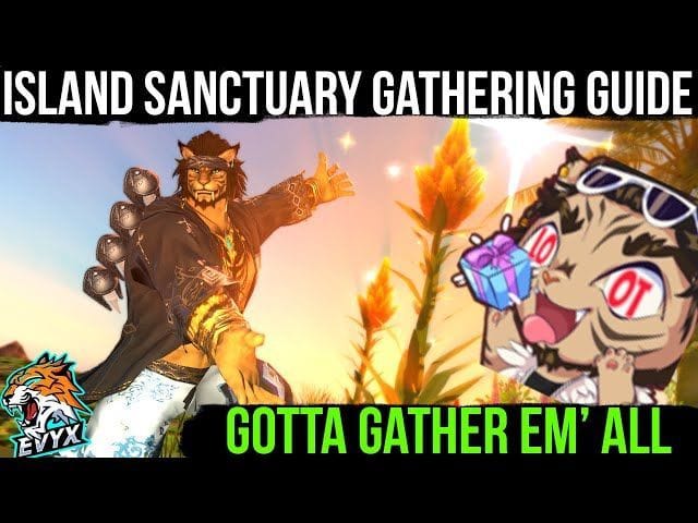 Final Fantasy XIV Island Sanctuary guide: 5 tips for beginners to get ...