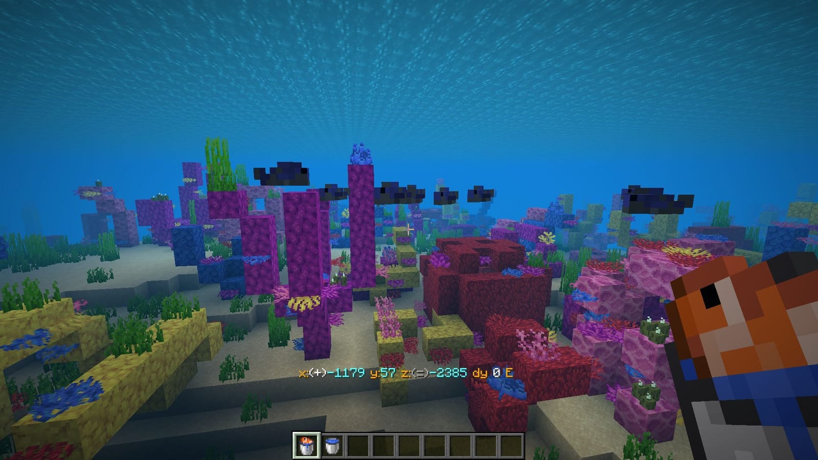 How to get and use tropical fish in Minecraft in 2022