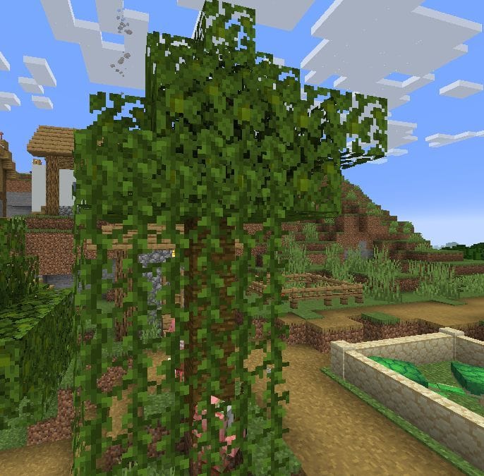 Vines in Minecraft