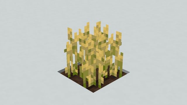 Wheat in Minecraft