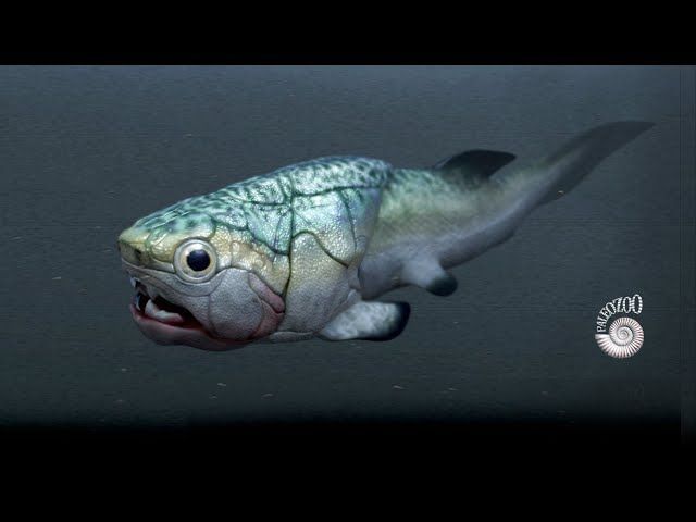 What to know about the Gogo Fish as scientists discover world's oldest ...