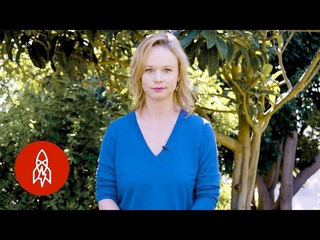 Explained: Why is Thora Birch not returning to Hocus Pocus 2 and what ...