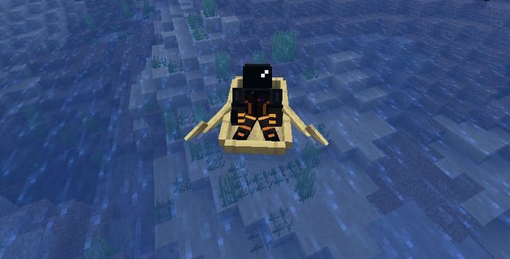 Boats in Minecraft