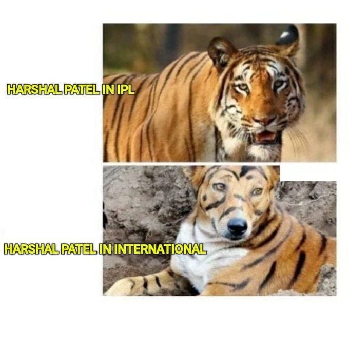 IND vs AUS 2022: Top 10 Harshal Patel memes after his expensive spell ...