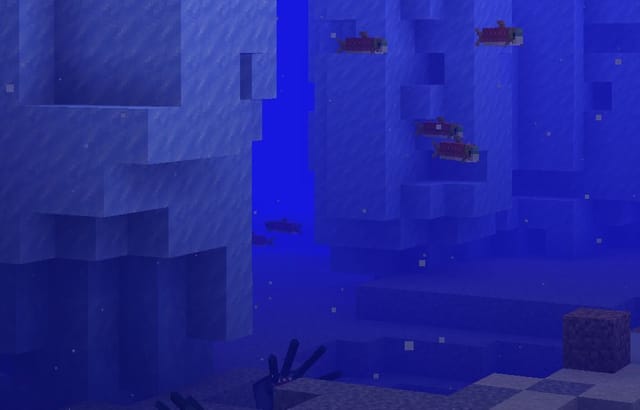 Frozen Ocean in Minecraft