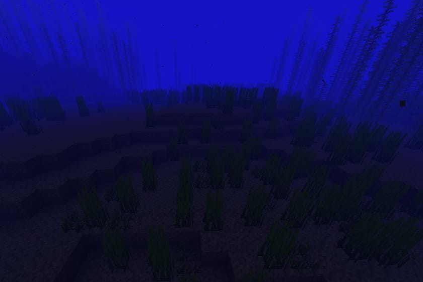 Deep Cold Ocean in Minecraft