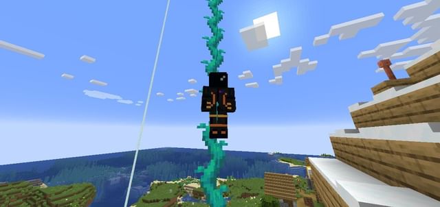 Twisting Vines in Minecraft